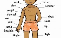 Body Vocabulary - Visual Expression - English Learn Site