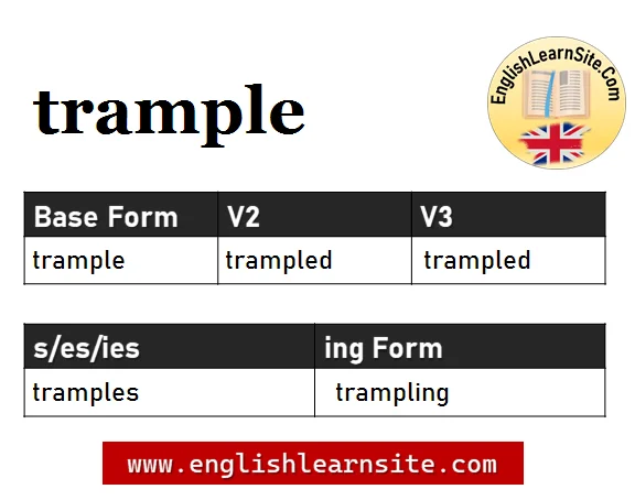 Trample V1 V2 V3, Trample Past and Past Participle Form Tense Verb 1 2 ...